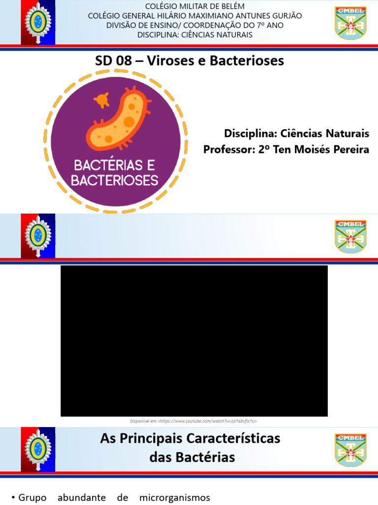 Semana 18 - Bacterioses 2024 | PDF | Bactérias | Célula (Biologia)