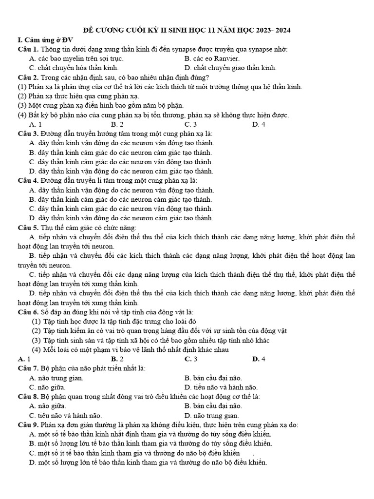 De Cuong KTCK2 SH11 HS | PDF