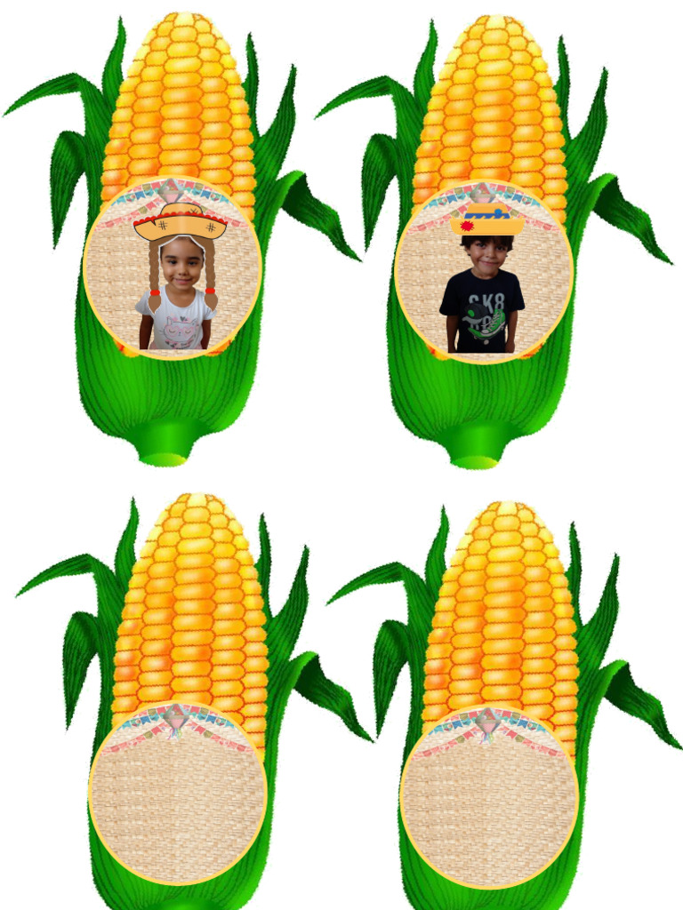 Turma de Milhões - 240615 - 142216 | PDF