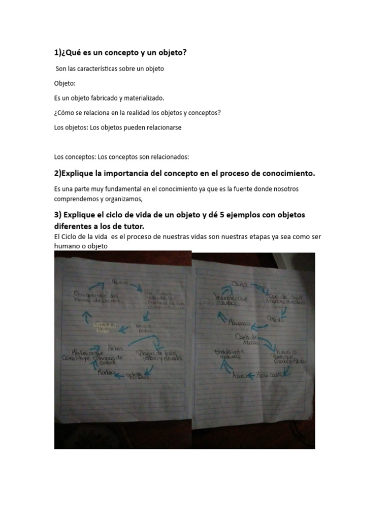 Qué Es Un Concepto y Un Objeto | PDF | Guatemala | Concepto
