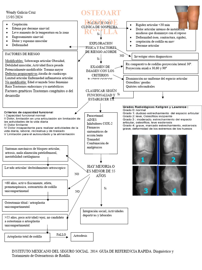 Guía Rápida: Diagnóstico de Osteoartrosis | PDF | Cuidado de la salud ...