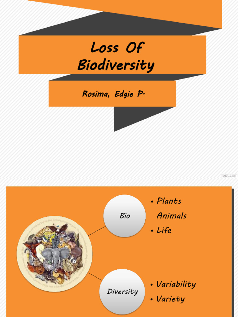 Understanding Biodiversity Loss Factors | PDF | Biodiversity | Ecosystem