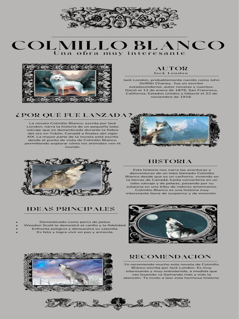 Infografía de Colmillo Blanco | PDF | Colmillo Blanco