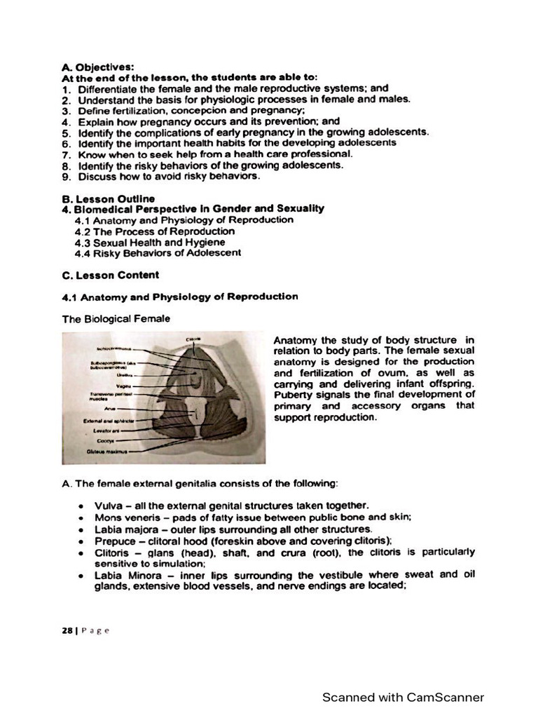 II - Biomedical Perspective in Gender and | PDF