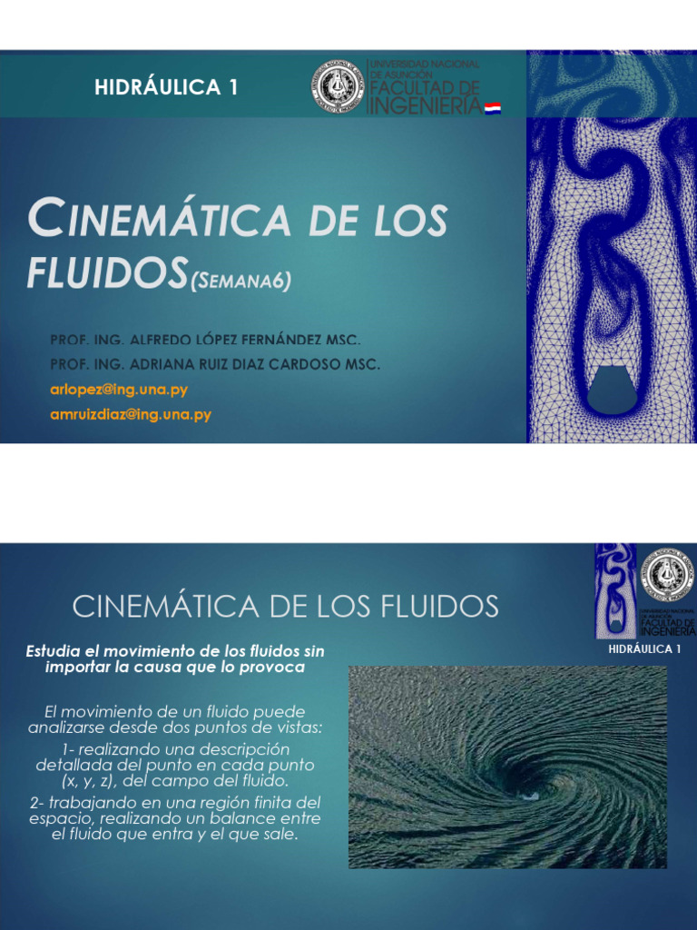 Cinemática de Fluidos: Enfoques y Conceptos | PDF | Masa | Turbulencia
