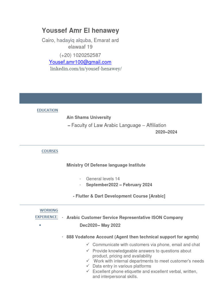 Yousef Henawey (CV) | PDF