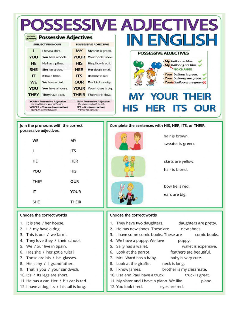 Possessive, and Demonstrative | PDF