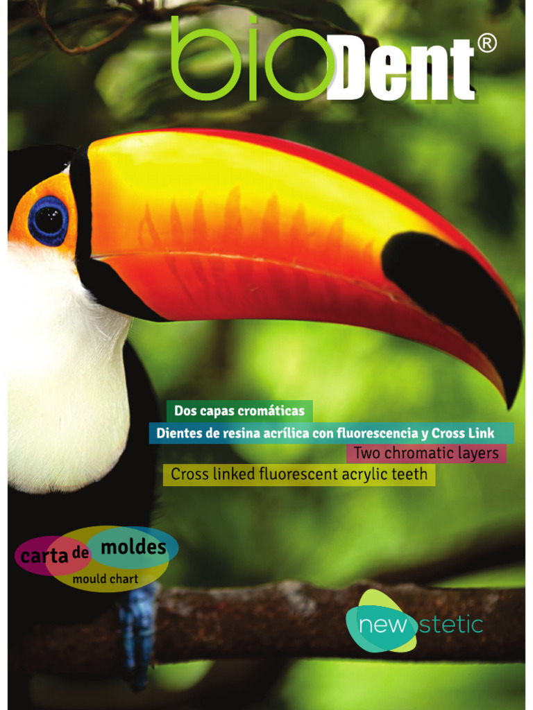 Biodent | PDF