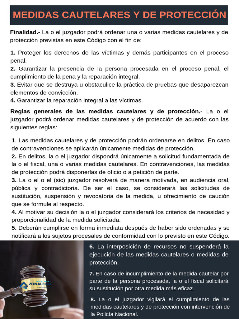 Medidas Cautelares y de Proteccion | Descargar gratis PDF | Mandato ...