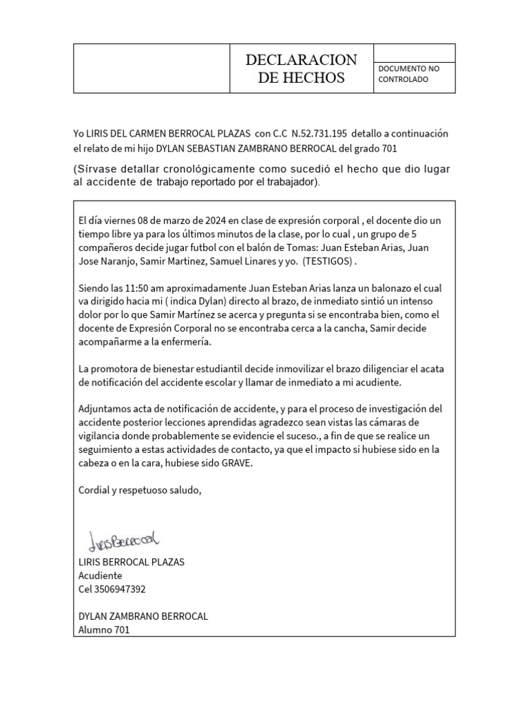 Declaracion de Hechos | PDF