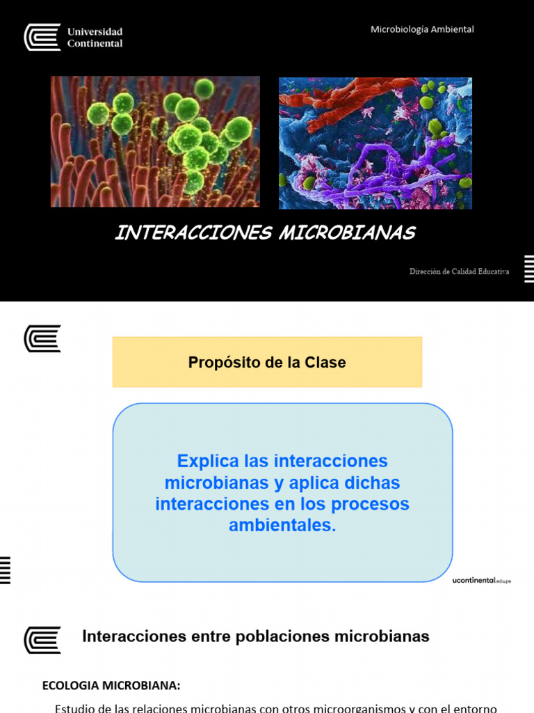 7 Interacciones Microbianas | PDF | Cianobacterias | Simbiosis