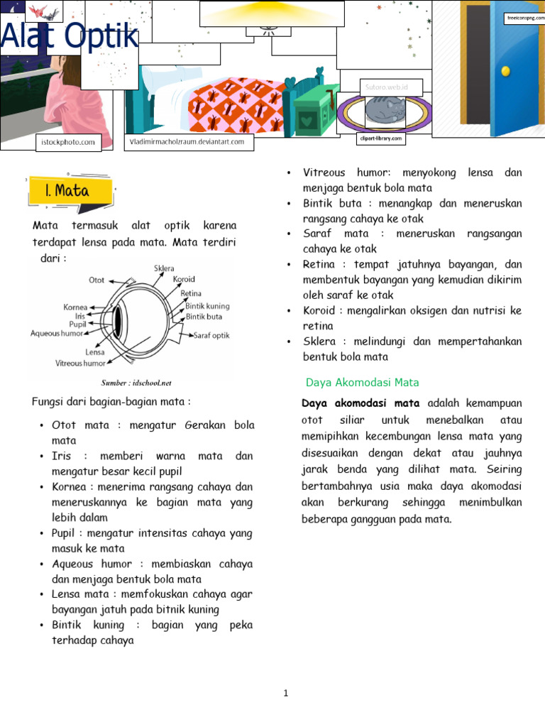 Fungsi dan Gangguan Mata serta Alat Optik | PDF