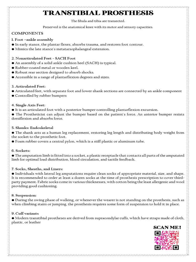 Transtibial Prosthesis Components Overview | PDF