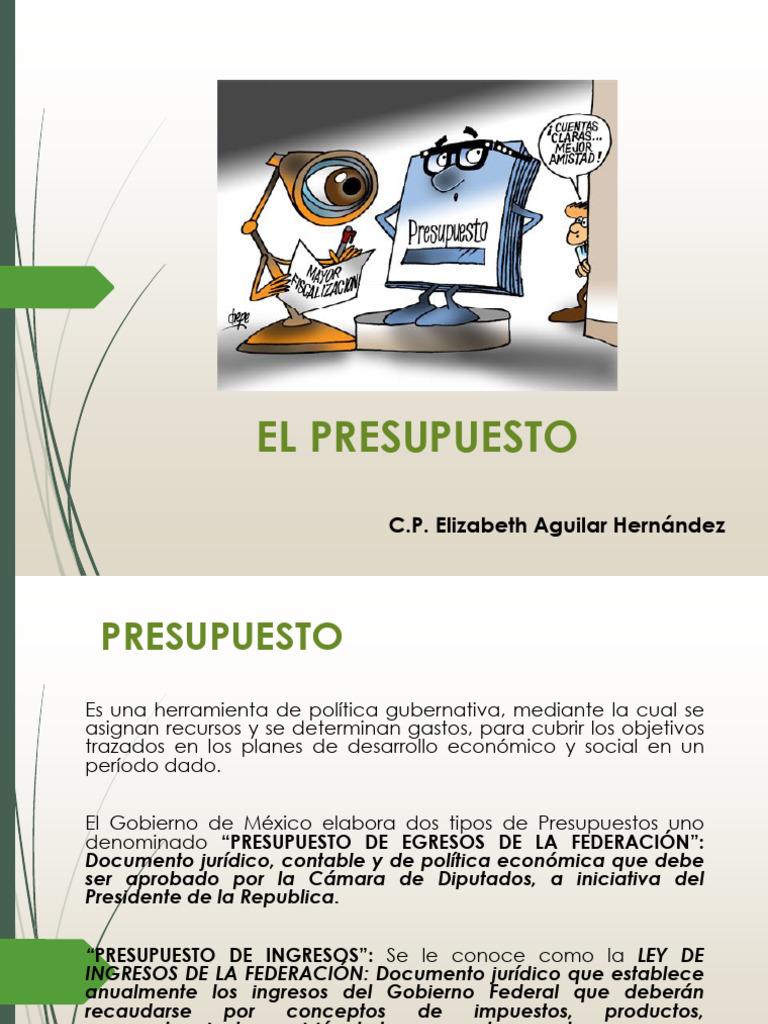 PRESUPUESTO | Descargar gratis PDF | Presupuesto | Contabilidad