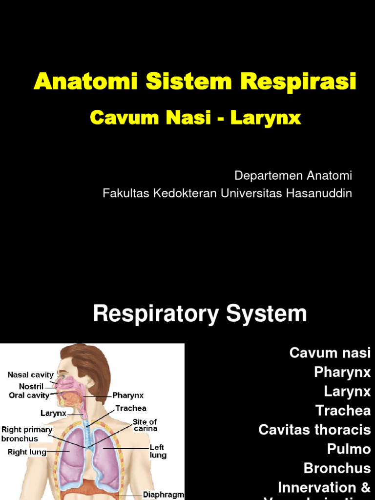 Anatomi Respirasi 1 | PDF