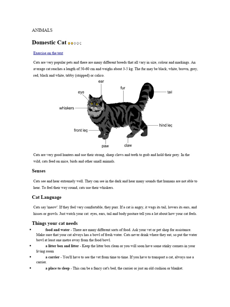 ANIMALS | Download Free PDF | Cats | Zoology