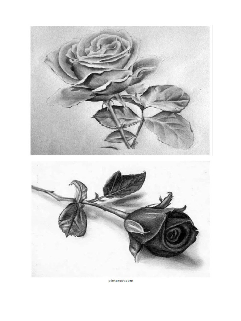 Sketsa Bunga 3 Dimensi | PDF