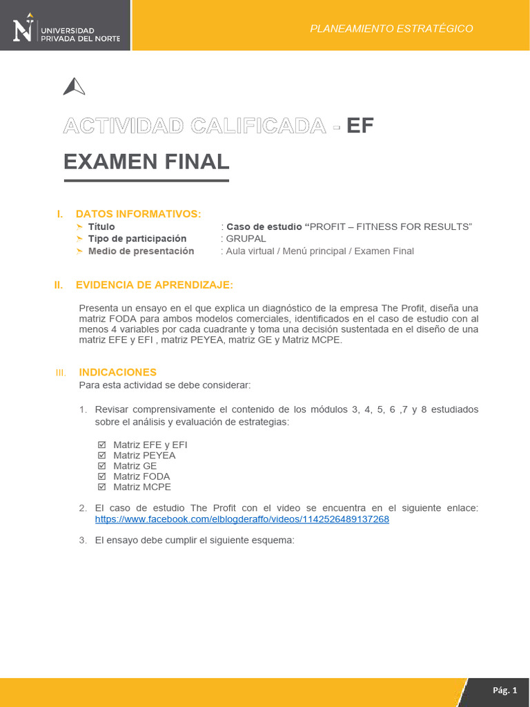 Avance de Kim Final Planeamiento | PDF | Análisis FODA | Planificación