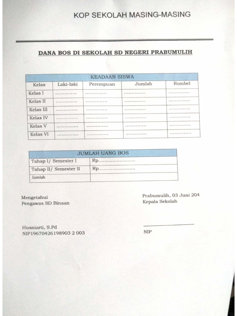 Dana Bos SD PBM | PDF