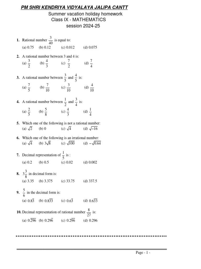 Maths Class IX Holiday HW For Summer Vacation 2024 MATHS | PDF | Numbers | Rational Number
