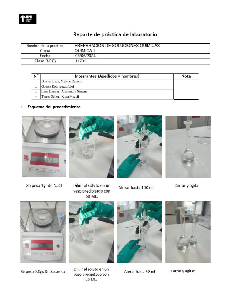 Reporte de Resultados Laboratorio Sem 11 | PDF | Solubilidad | Concentración