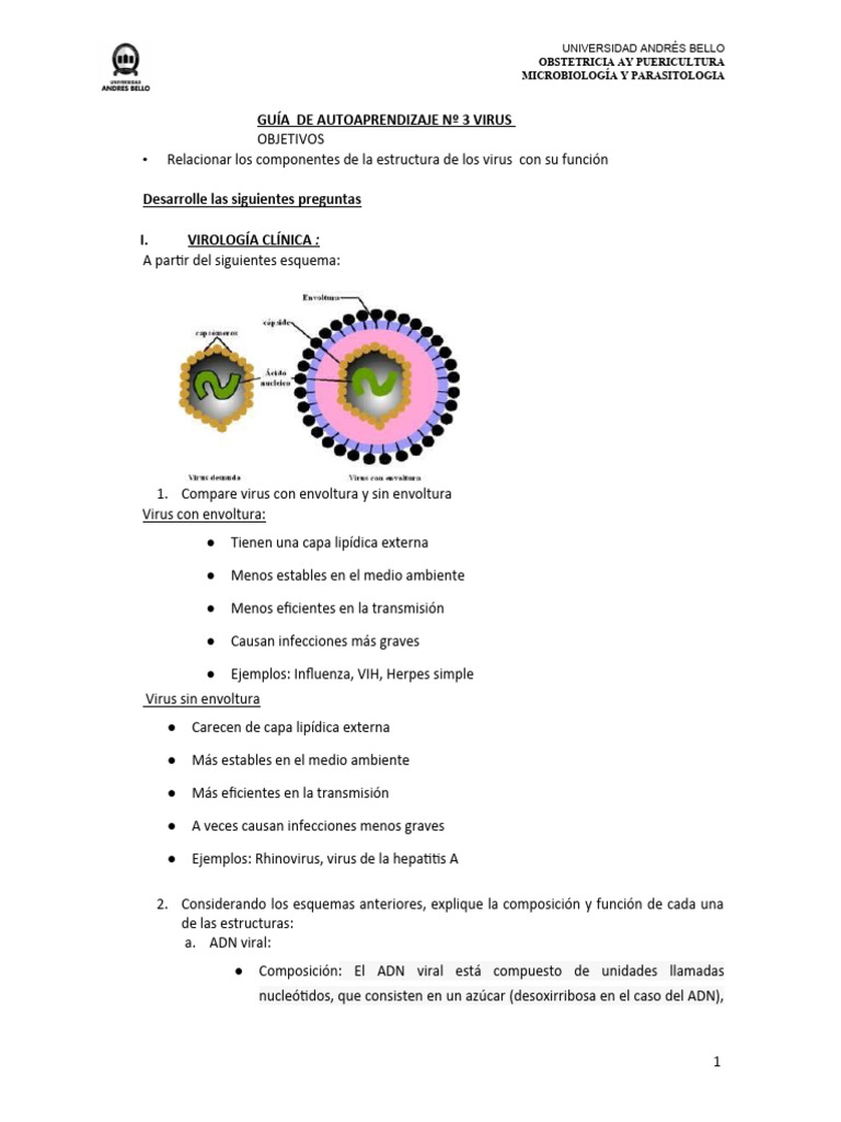 Estructura y Función de los Virus | PDF | Virus | Influenza