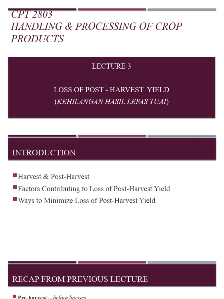 Lecture 3 Post Harvest Loss | PDF | Vegetables | Postharvest