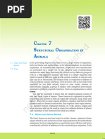 Frog vs Human Organ Systems Explained | PDF | Human Digestive System ...