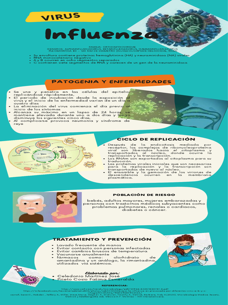 Infografia Influenza | PDF | Influenza | Virus
