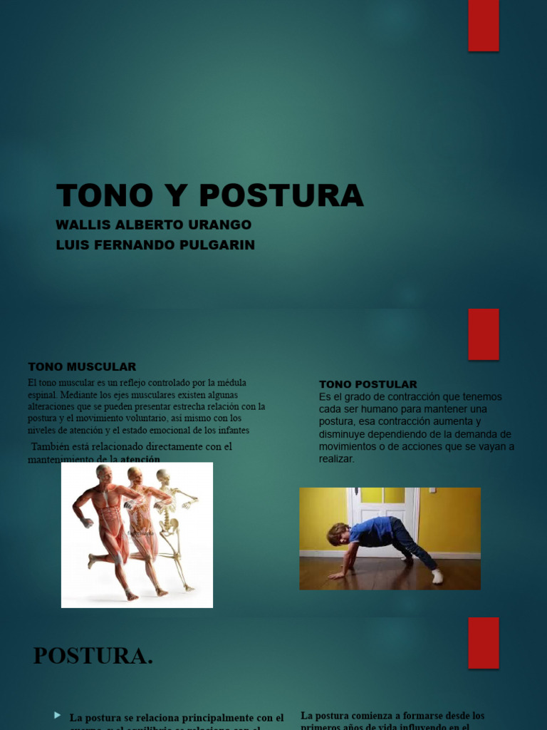 TONO Y POSTURA WALLIS 2 | PDF | La columna vertebral | Anatomía