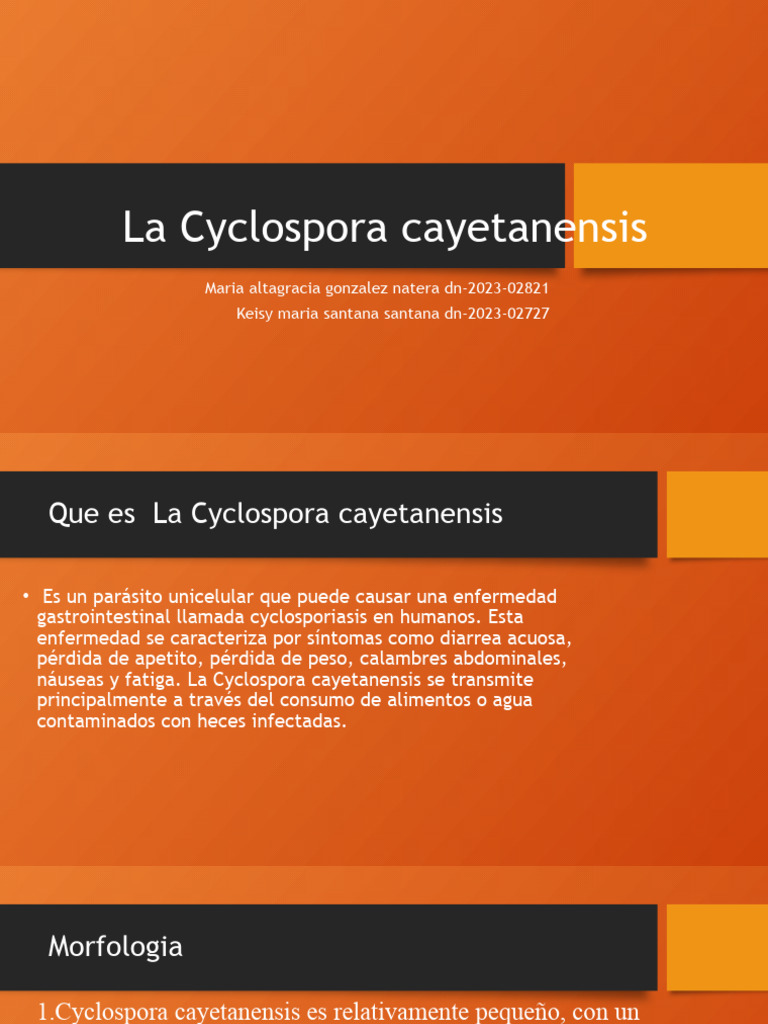 La Cyclospora Cayetanensis Expo | PDF