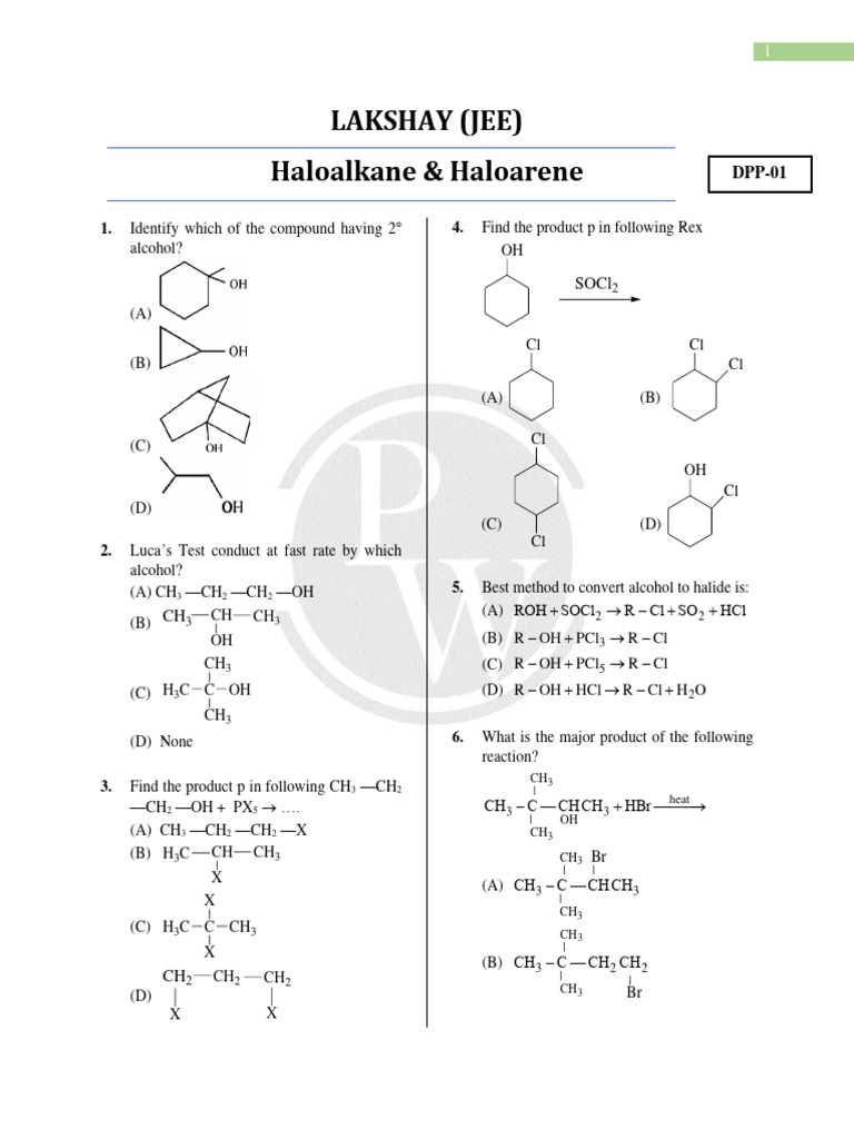 Alkyl & Aryl Halides - DPP 01 | PDF | Functional Group | Organic Compounds