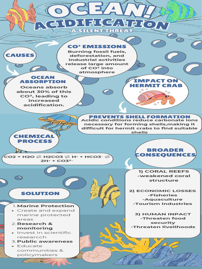 Ocean Acidification and Its Impacts | PDF