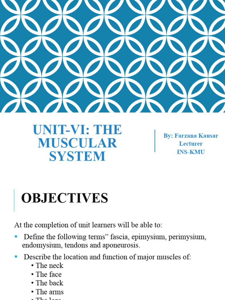 6-The Muscular System | Download Free PDF | Human Leg | Elbow