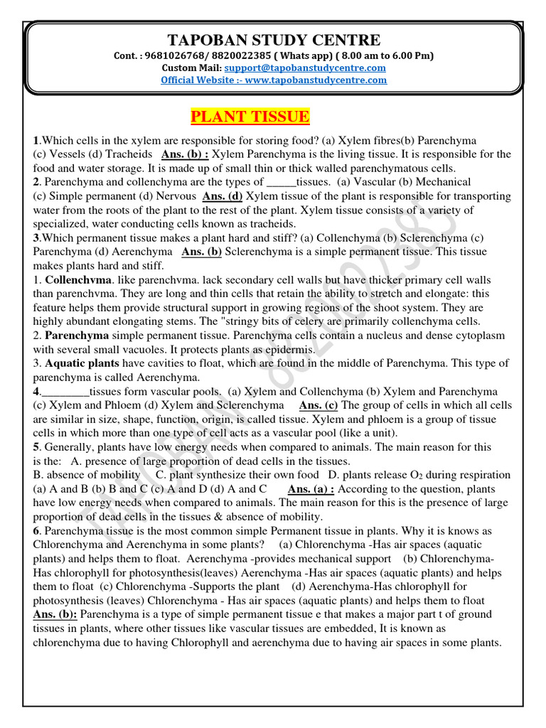Plant Tissue With Ans PDF | Download Free PDF | Tissue (Biology ...