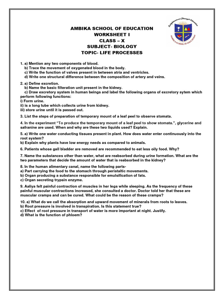 class 10 worksheet 1 | PDF