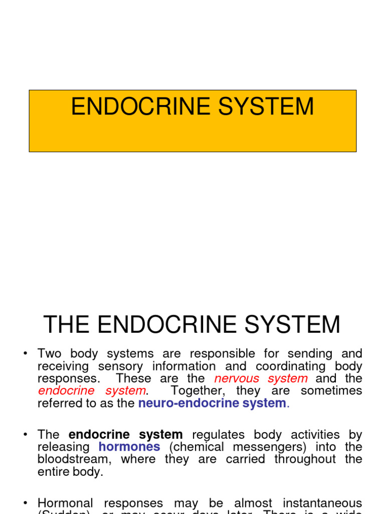 Lesson 1.2 The Endocrine System Complete | PDF | Adrenal Gland ...