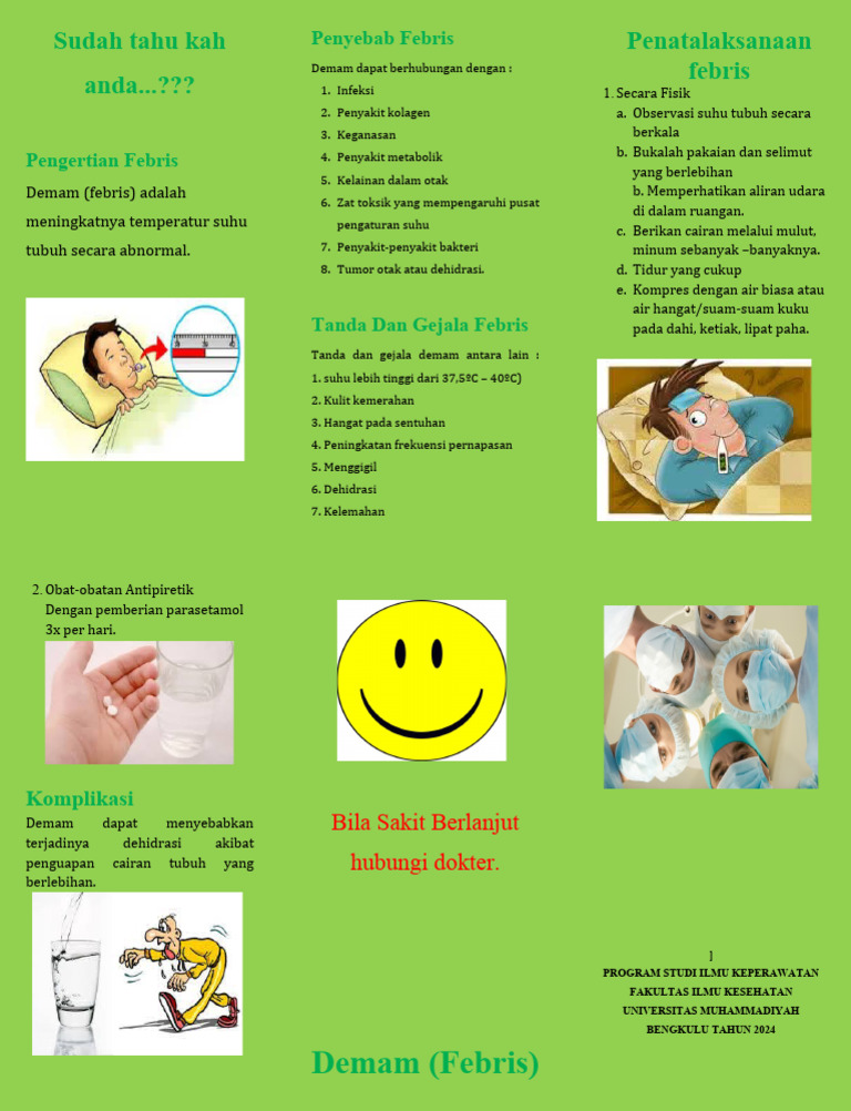 Leaflet | PDF
