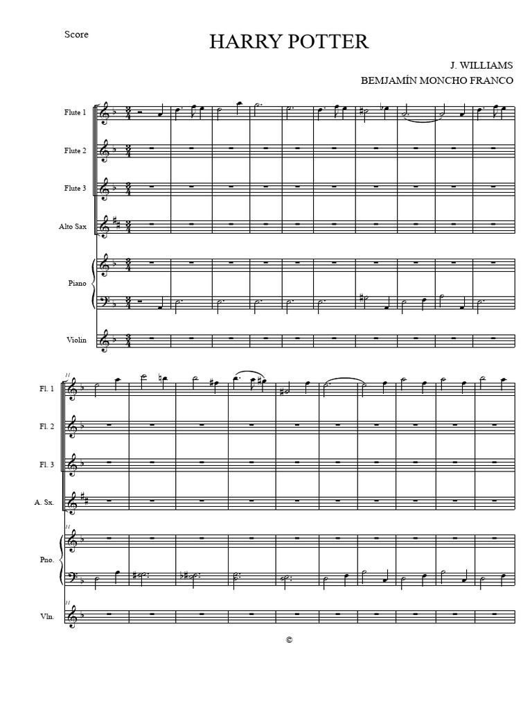 Harry Potter: Score | PDF | Woodwind Instruments