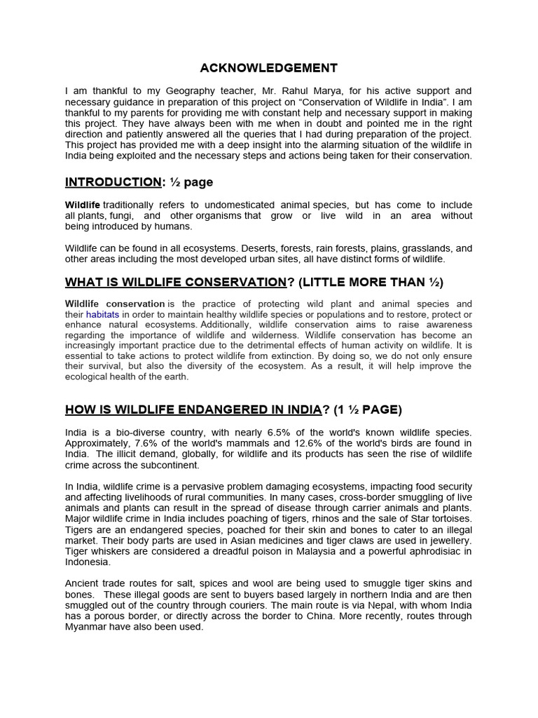 Geography Project On Environment Conservation | PDF | Conservation ...