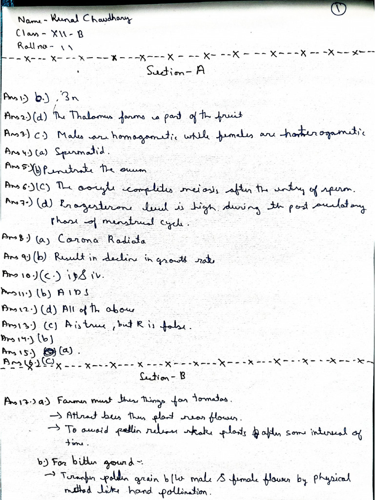 Bio Paper, 13 - 197 | PDF