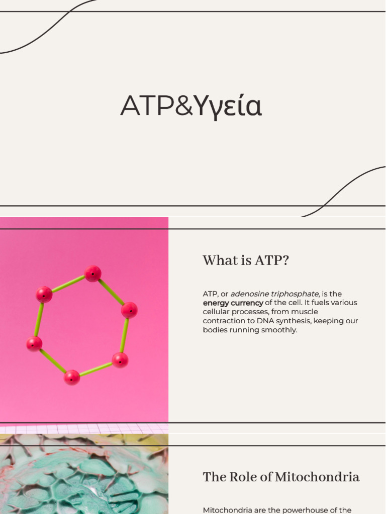 ATP: Energy, Health, and Lifestyle Tips | PDF