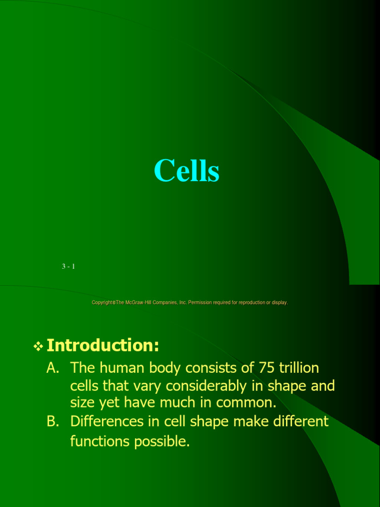 Cells | PDF | Mitosis | Endoplasmic Reticulum