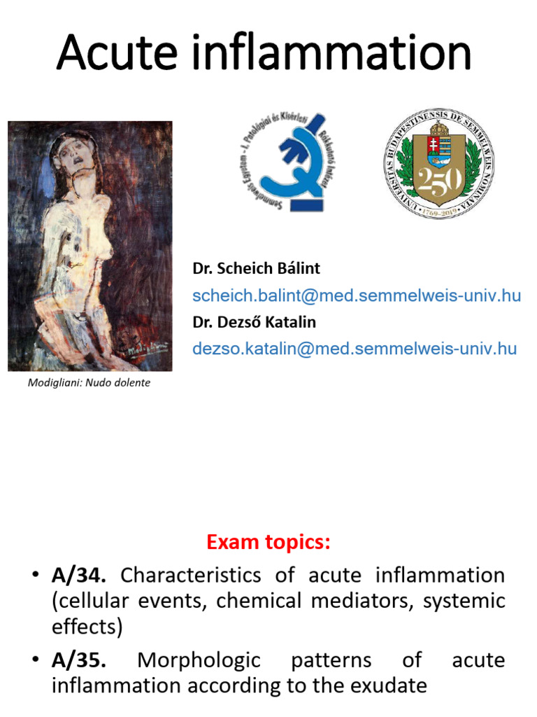 EM Acute Inflammation SB | PDF | Inflammation | Granulocyte