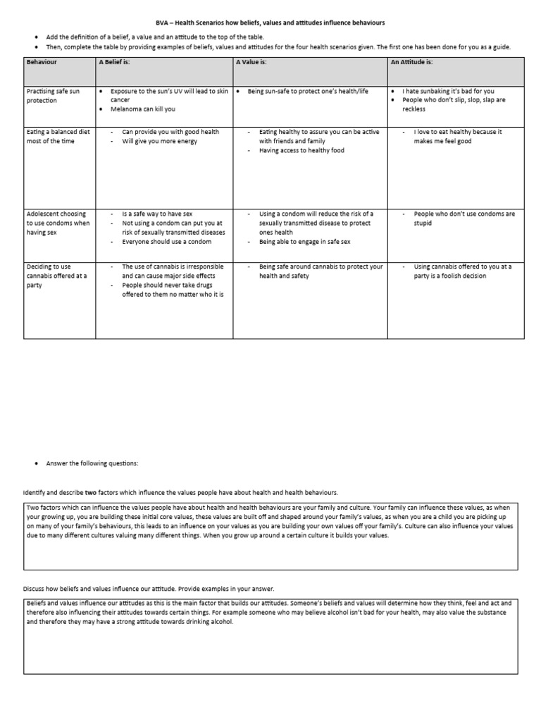 Beliefs, Values and Attitudes Worksheet | PDF | Attitude (Psychology ...