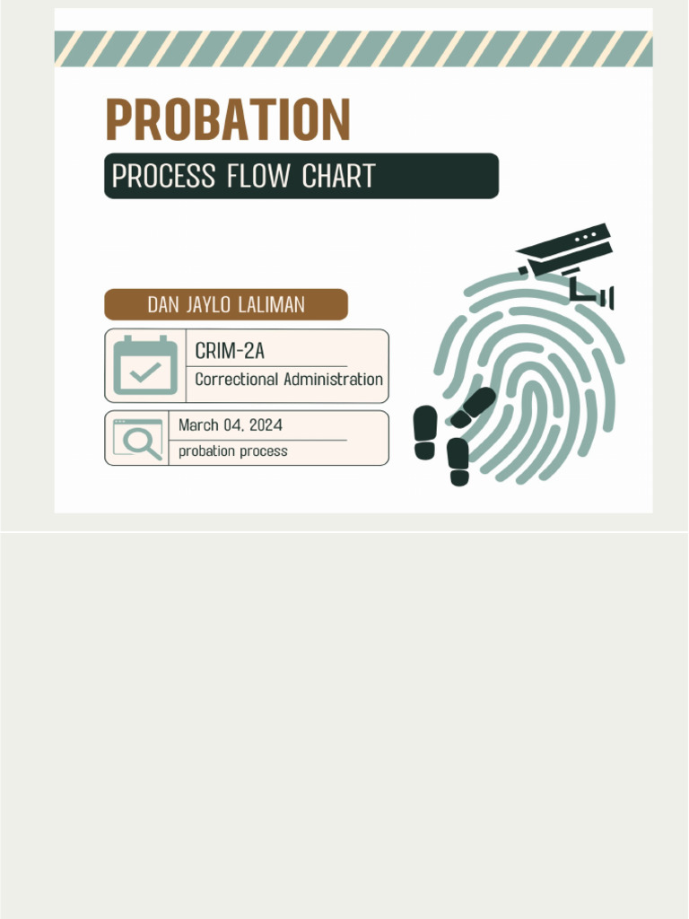 Probation Flow Chart | PDF