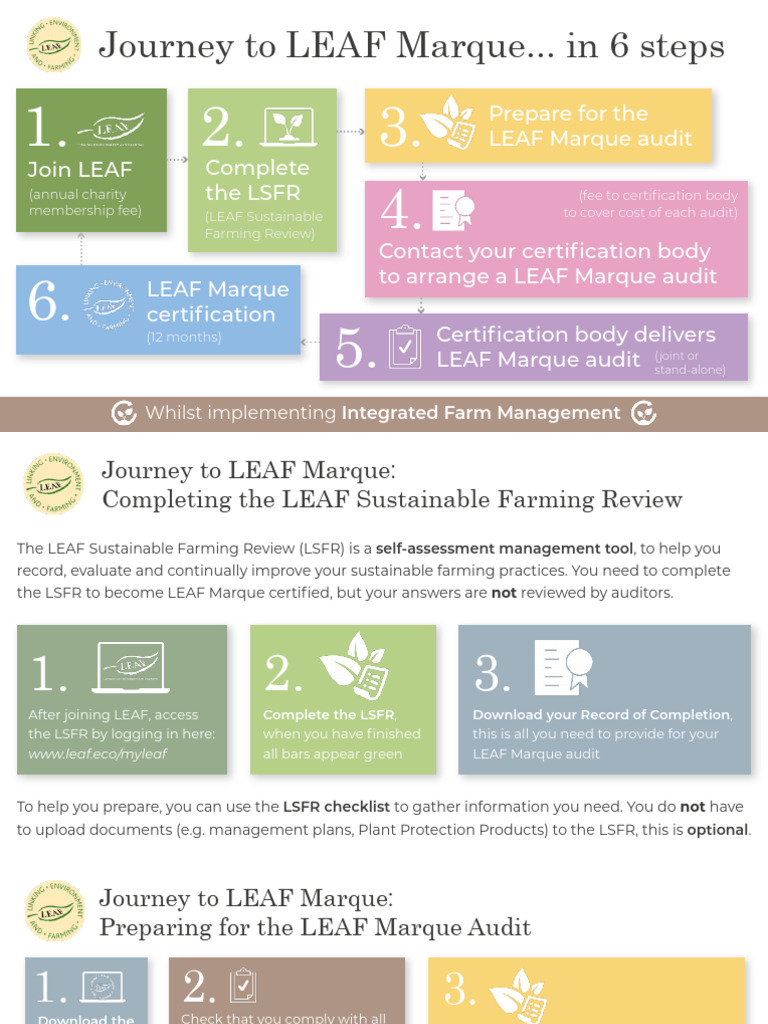 LM LSFR Guidance Infographics | PDF | Audit | Business