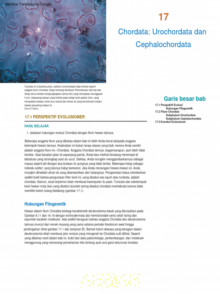 Chordata | PDF | Kajian Bahasa Asing | Sains & Matematika
