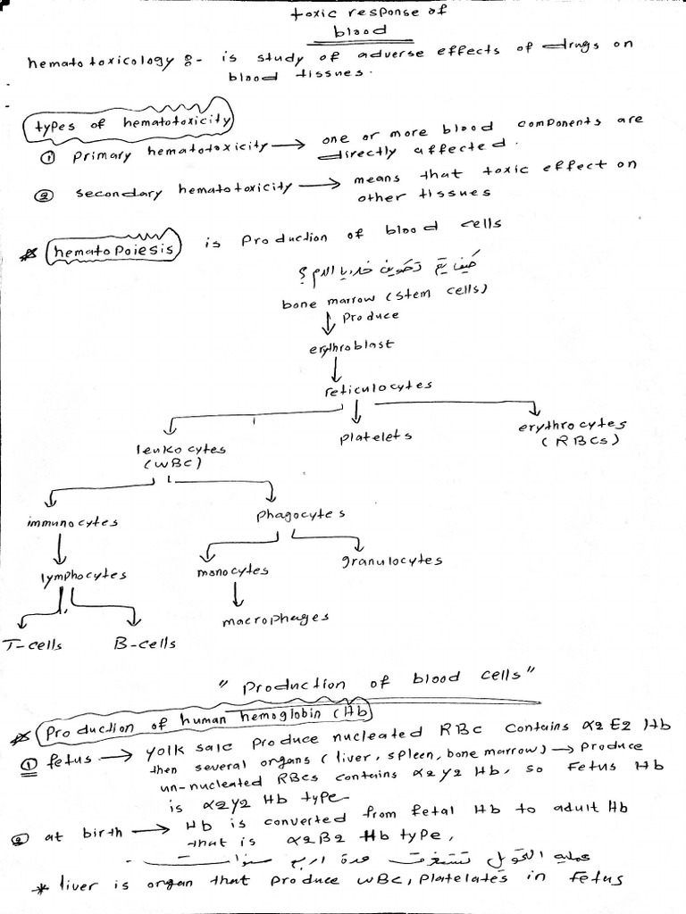Blood Toxicity | PDF