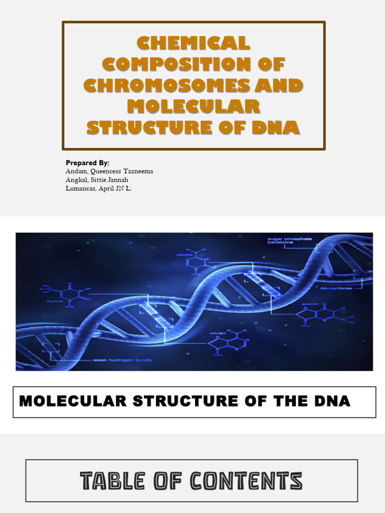 Part 2. DNA Structure | PDF | Dna | Nucleic Acids